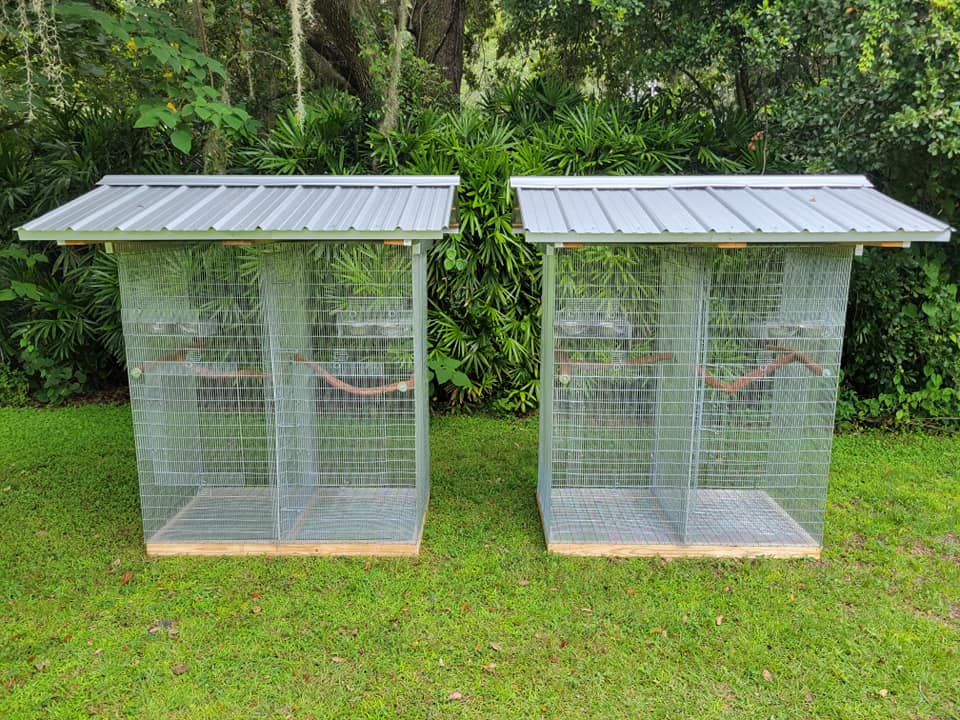 Ammerman Cage and Equipment